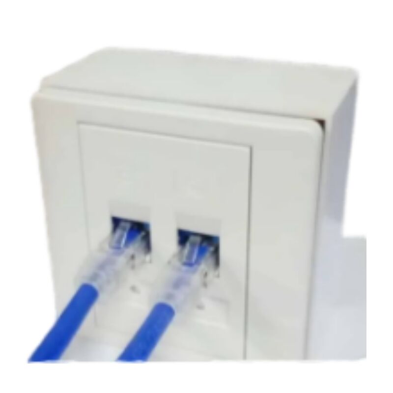 FTTH Fiber Optic CAT5/5E/6/6A RJ45 Wall Plates - Fibconet Communicate